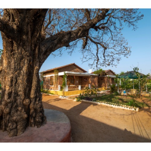 Explore The Best Homestays in Madhya Pradesh | MP Tourism