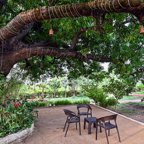 Explore The Best Homestays in Madhya Pradesh | MP Tourism