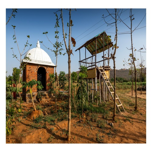 Explore The Best Homestays in Madhya Pradesh | MP Tourism