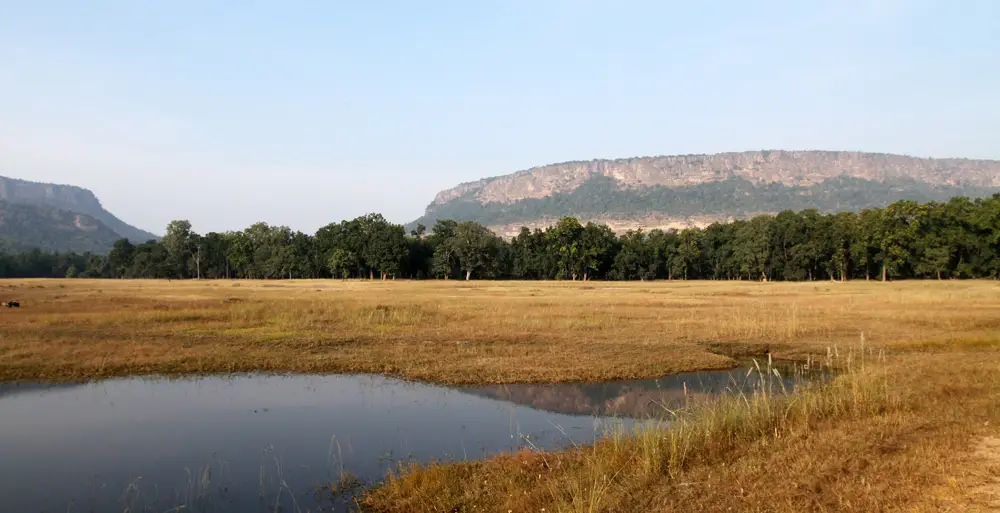 Bandhavgarh National Park & Tiger Reserve (2025) | MP Tourism