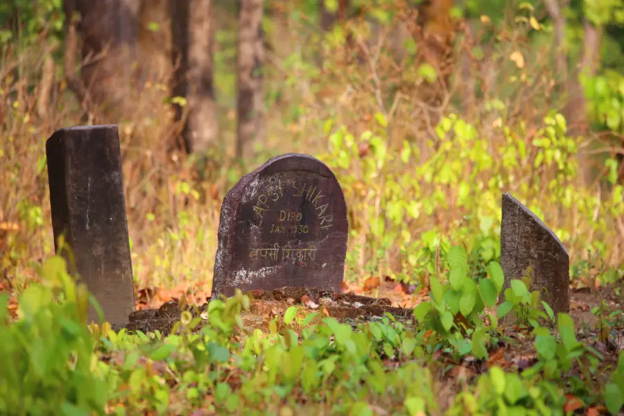 Kanha National Park & Tiger Reserve (2025) | Jungle Safari | MP Tourism