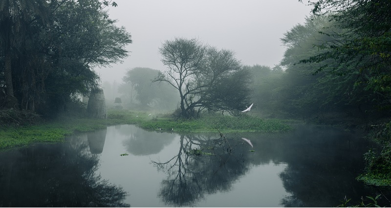 Van Vihar National Park (2025) – Green Escape in Bhopal | MP Tourism