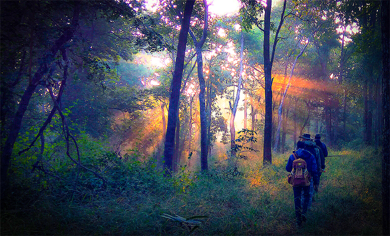 Adventure | Madhya Pradesh Tourism