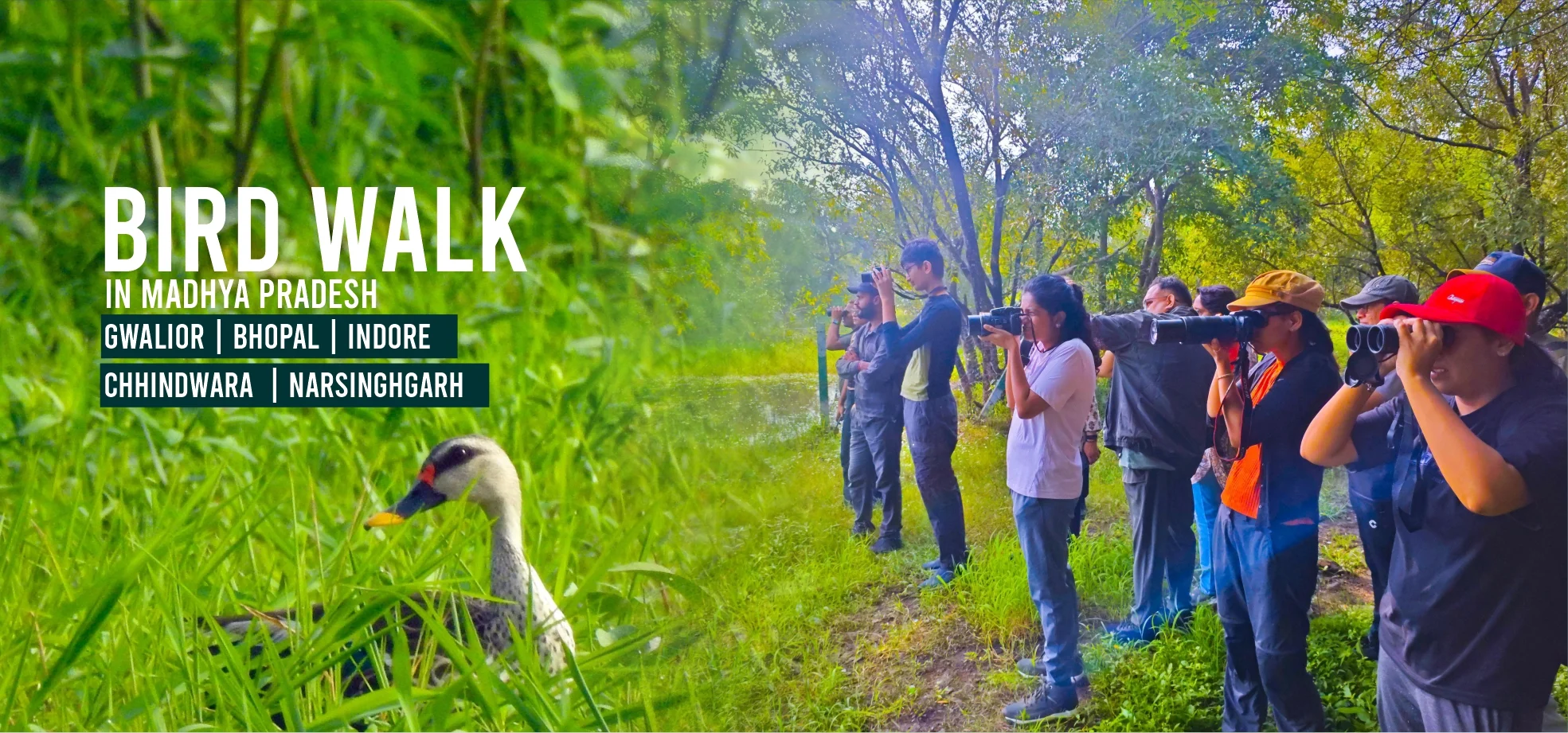 Bird Walks in Madhya Pradesh - May 2026 | Madhya Pradesh Tourism