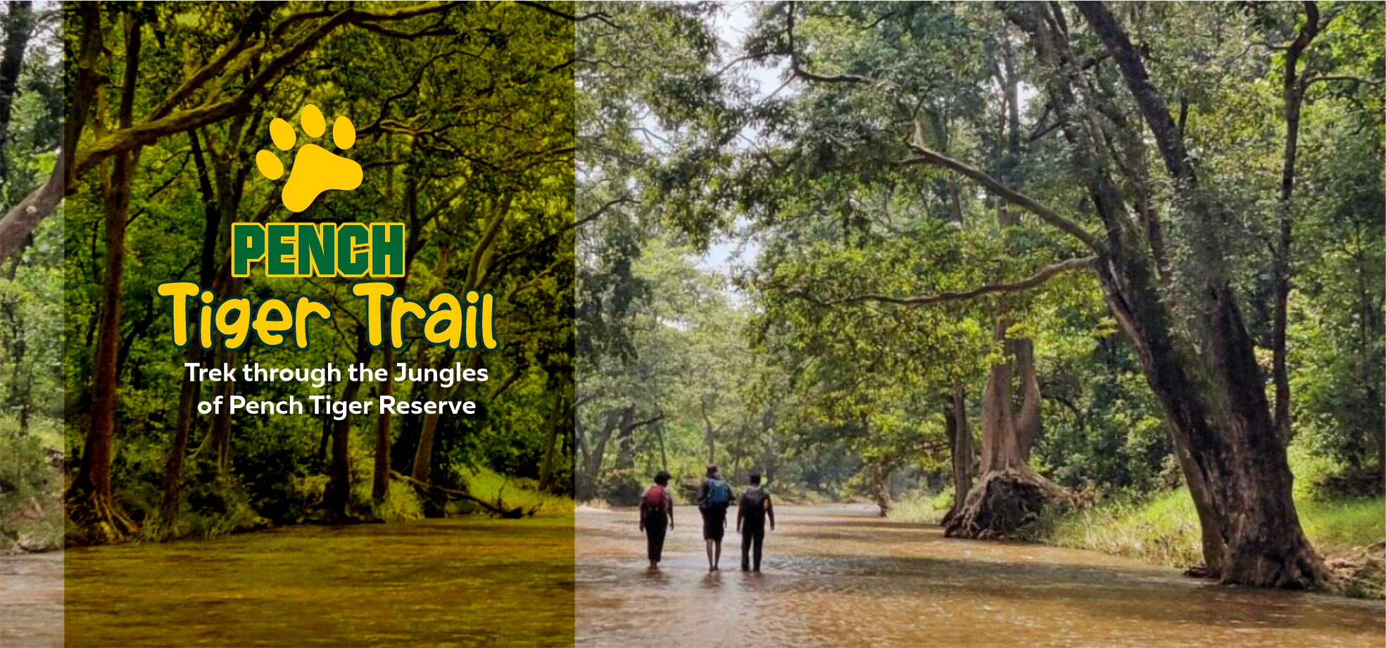 Pench Tiger Trail 2025 | Madhya Pradesh Tourism