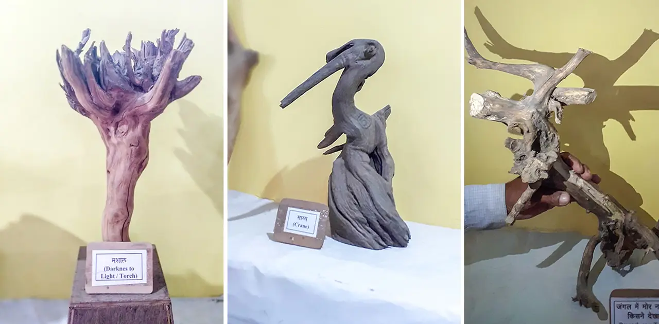 Natural Wooden Sculptures Museum: Preserving Nature's Art